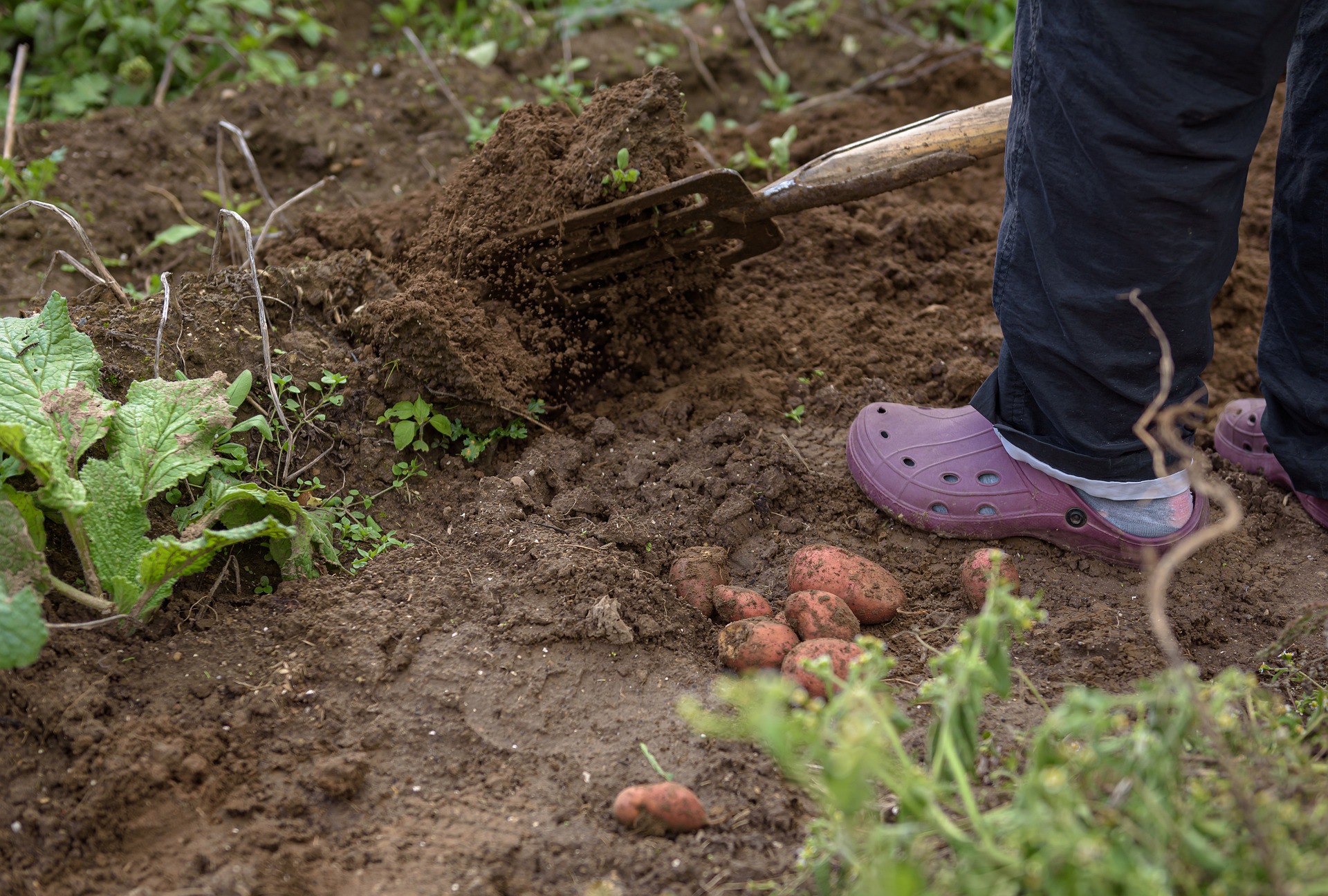 【英語】enough/sufficient/adequate(十分な)の意味の違いと使い分け