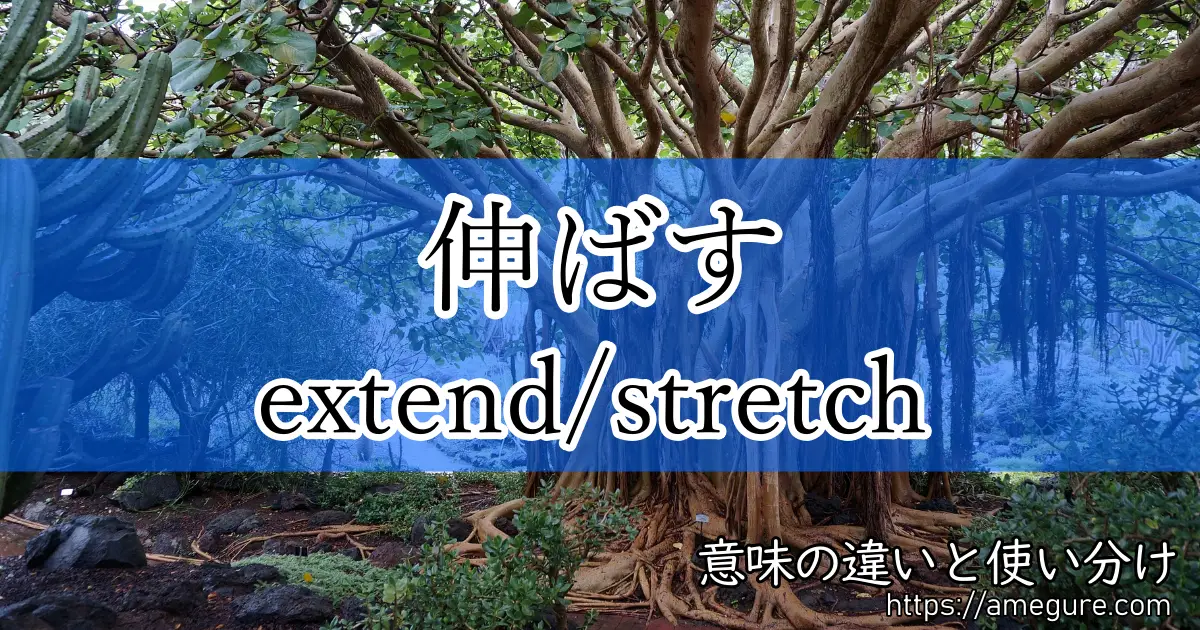 【英語】extend/stretch(伸ばす)の意味の違いと使い分け