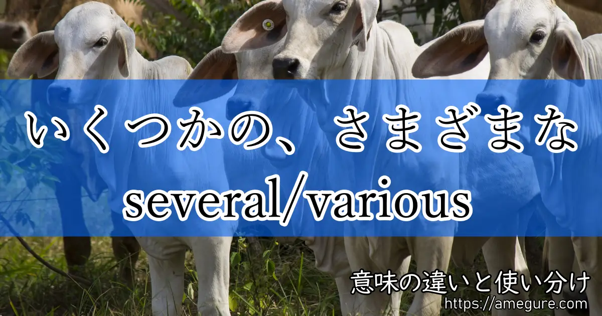 【英語】several/various(いくつかの、さまざまな)の意味の違いと使い分け