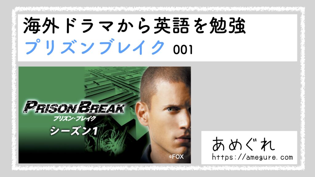 【英語】contain/include/involve(含む・含める)の意味の違いと使い分け